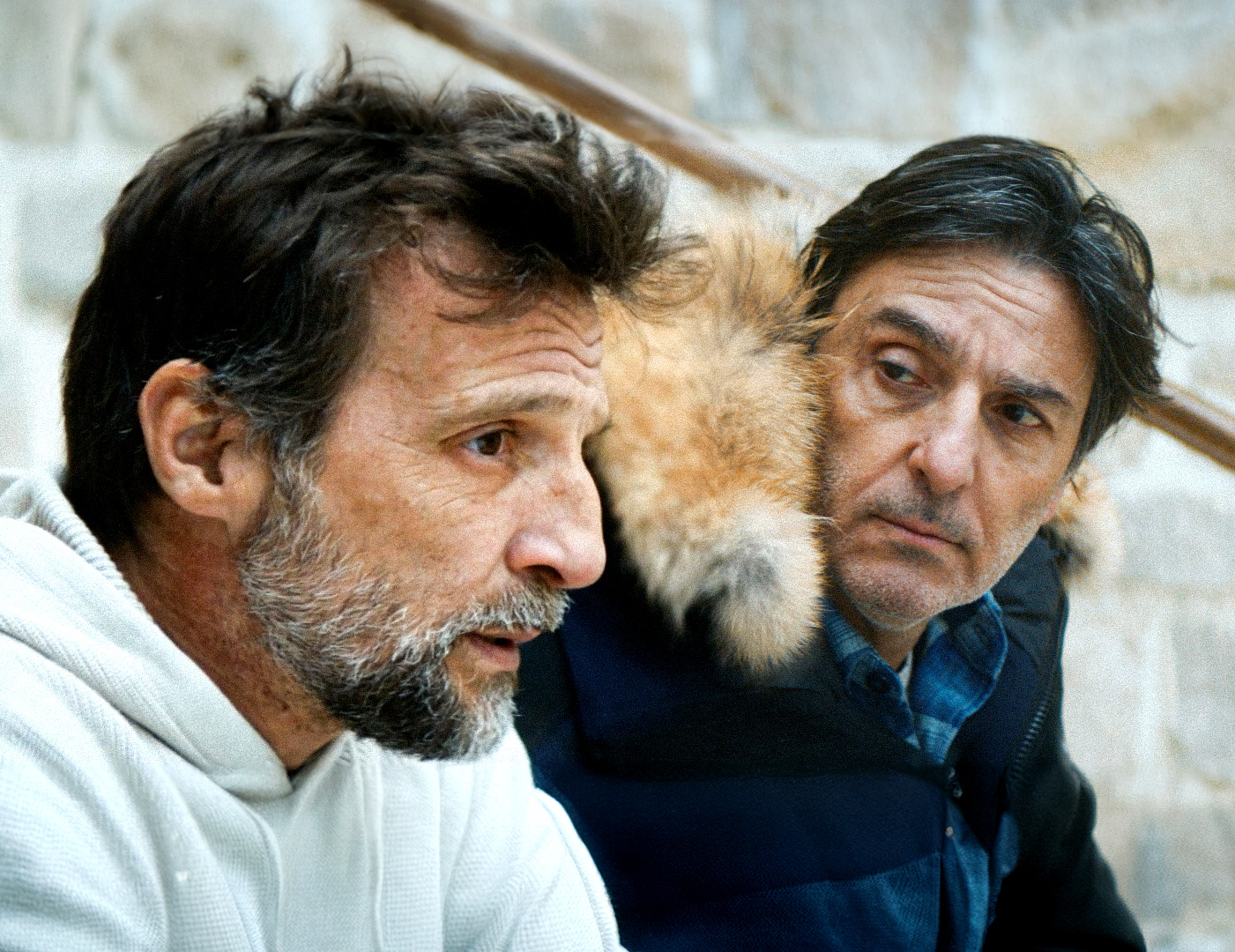 Le festival du film de Colmar | Ville de Colmar